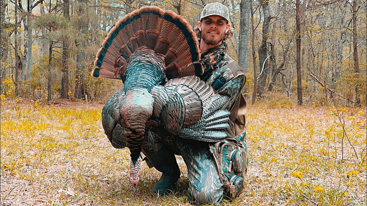 Hot Gobbler down! South Carolina mid morning Turkey hunt! - YouTube