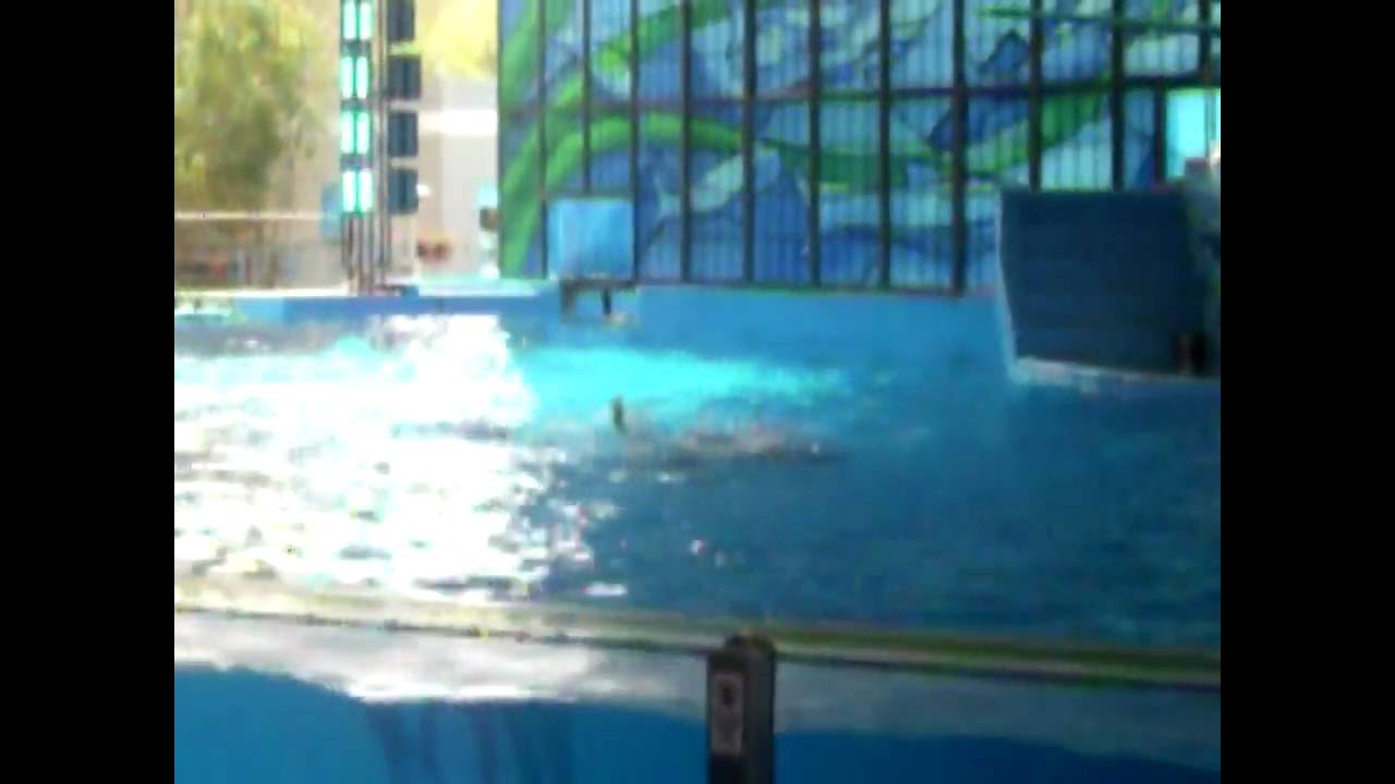 SHHS E&S Sea World Trip 2010 "Azul" PART 1 of 3 - YouTube