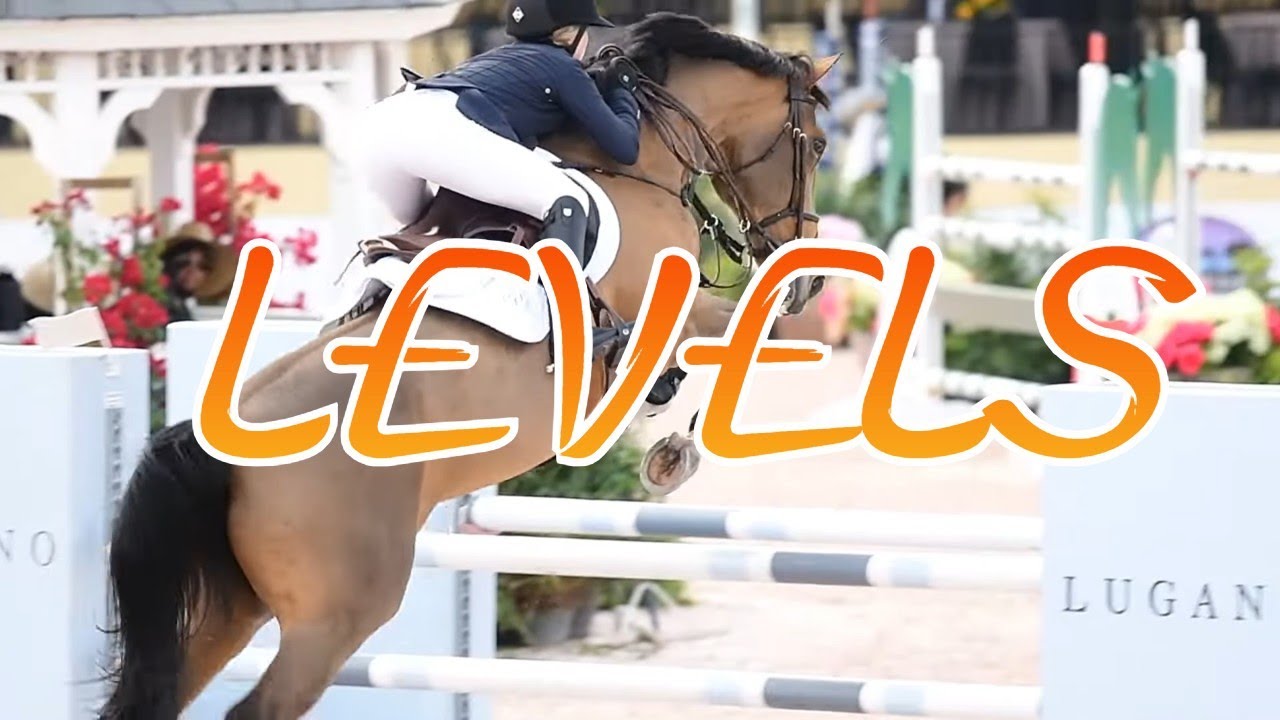 Equestrian Music Video|Levels - YouTube