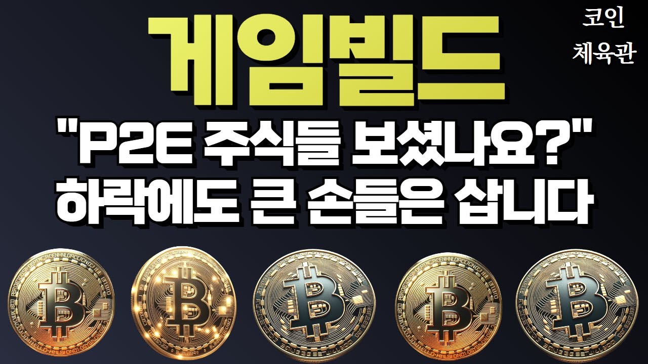 게임빌드 코인 P2e 주식들 보셨나요 하락에도 큰 손들은 삽니다 게임빌드코인 게임빌드코인호재 게임빌드코인전망