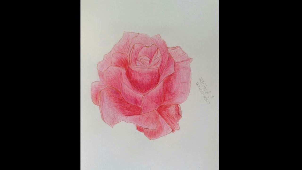 How to draw a basic pink flower (time-lapse) | ZeinArTube - YouTube