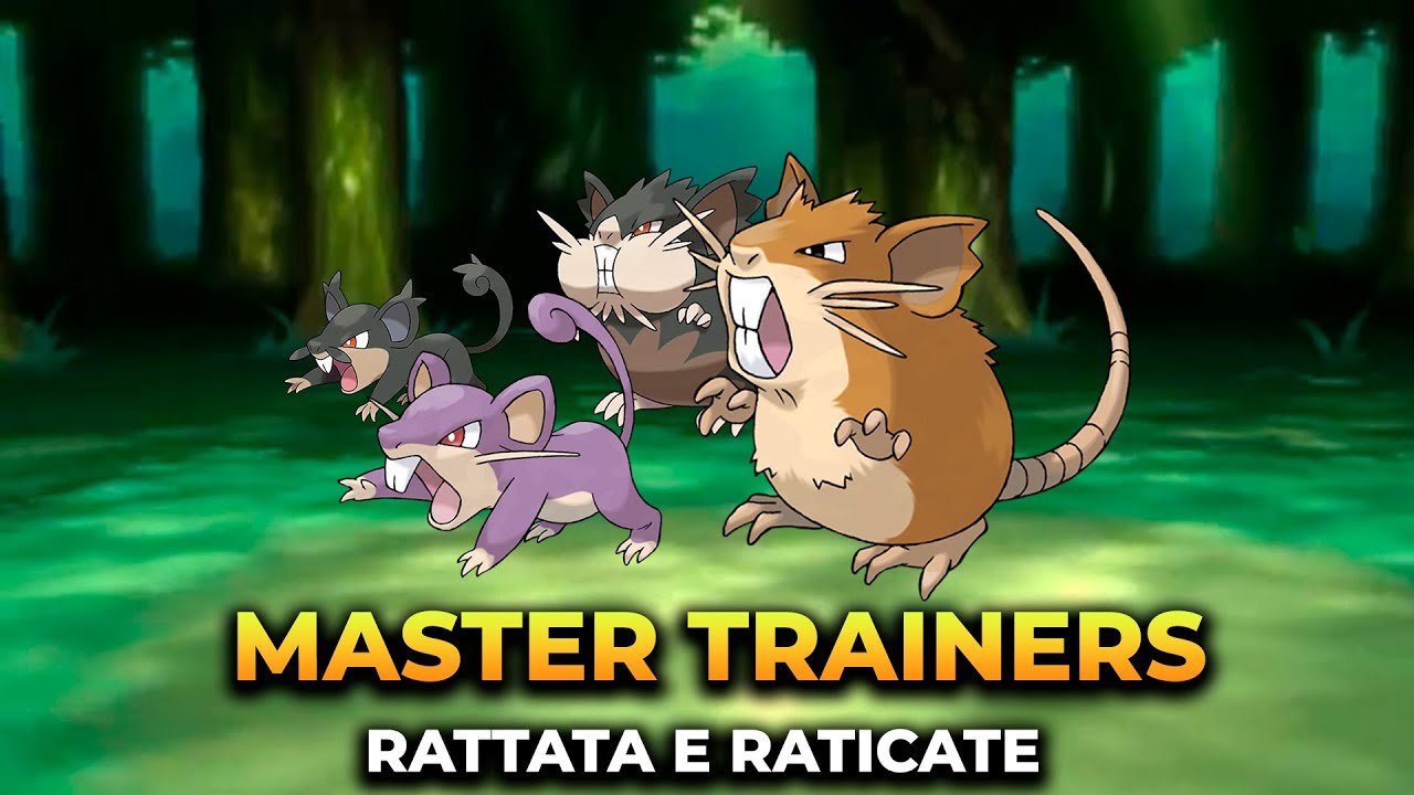 Master Trainers Guide Rattata e Raticate - YouTube