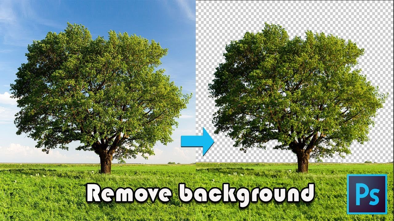 How to remove trees background in Adobe photoshop ...