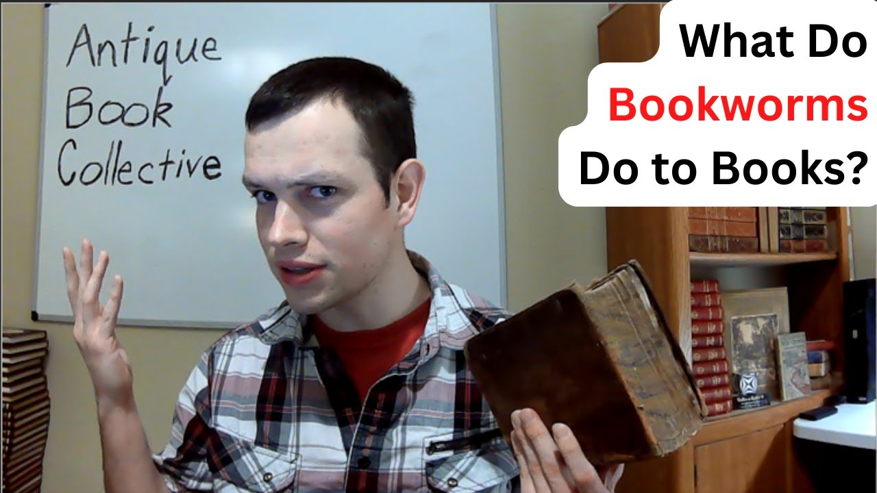 What Does Bookworm Damage Look Like What Even Are Bookworms YouTube what-does-bookworm-damage-look-like-what-even-are-bookworms-youtube