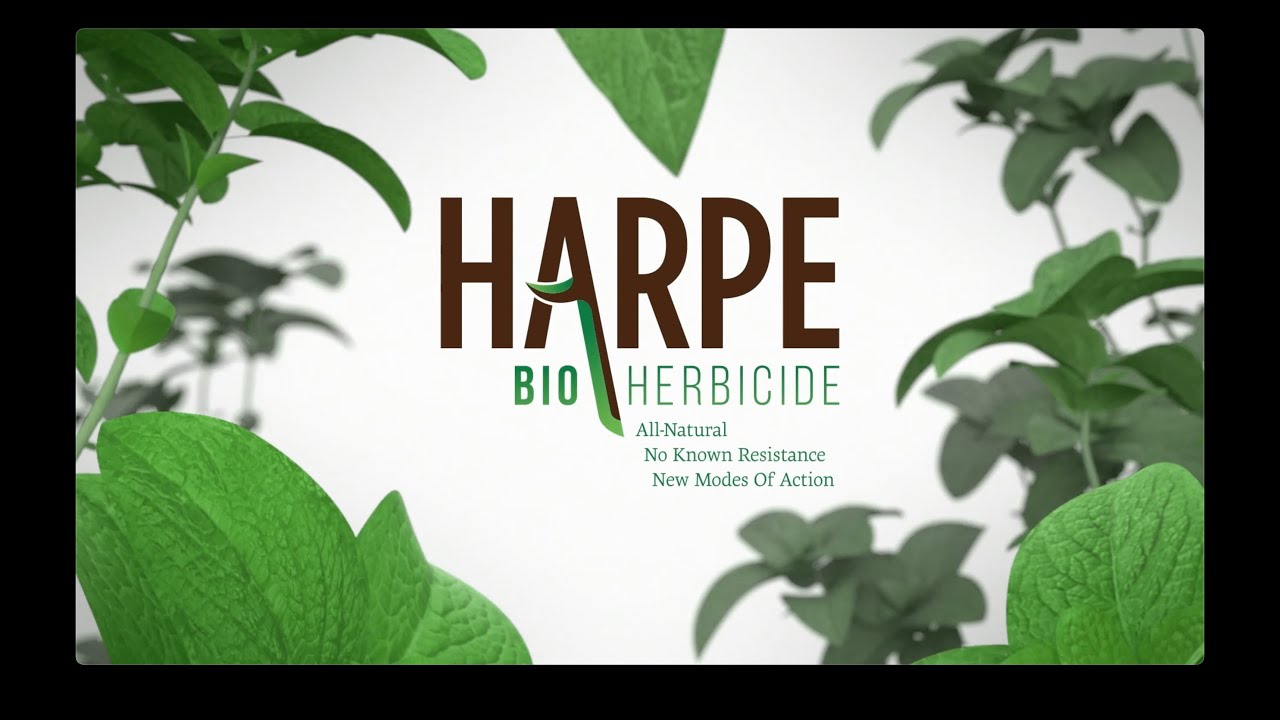 The Science Of Killing Weeds In A Safe And Effective Way With Wesley ...