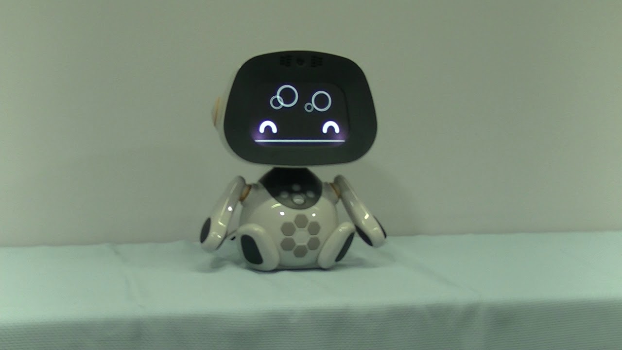 AI機能付コミュニケーションロボット（MAIR-unibo） 会話文字化 - YouTube