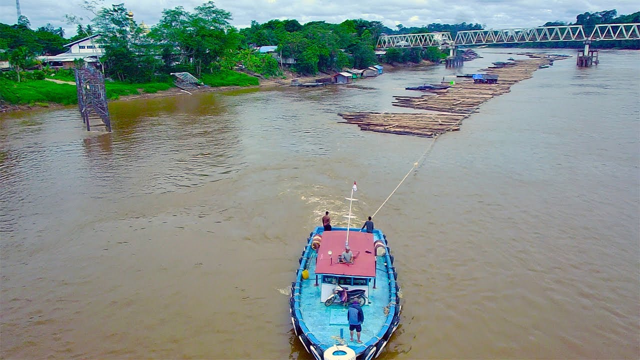 Proses Penarikan Logs Kayu Bulat Menggunakan Tugboat dan Kapal Motor ...