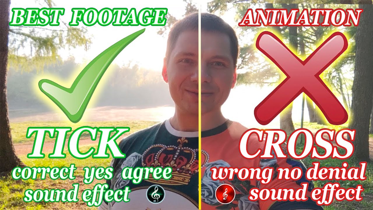 The Best Tick (Checkmark) and Cross Footage and Animation with Correct ...