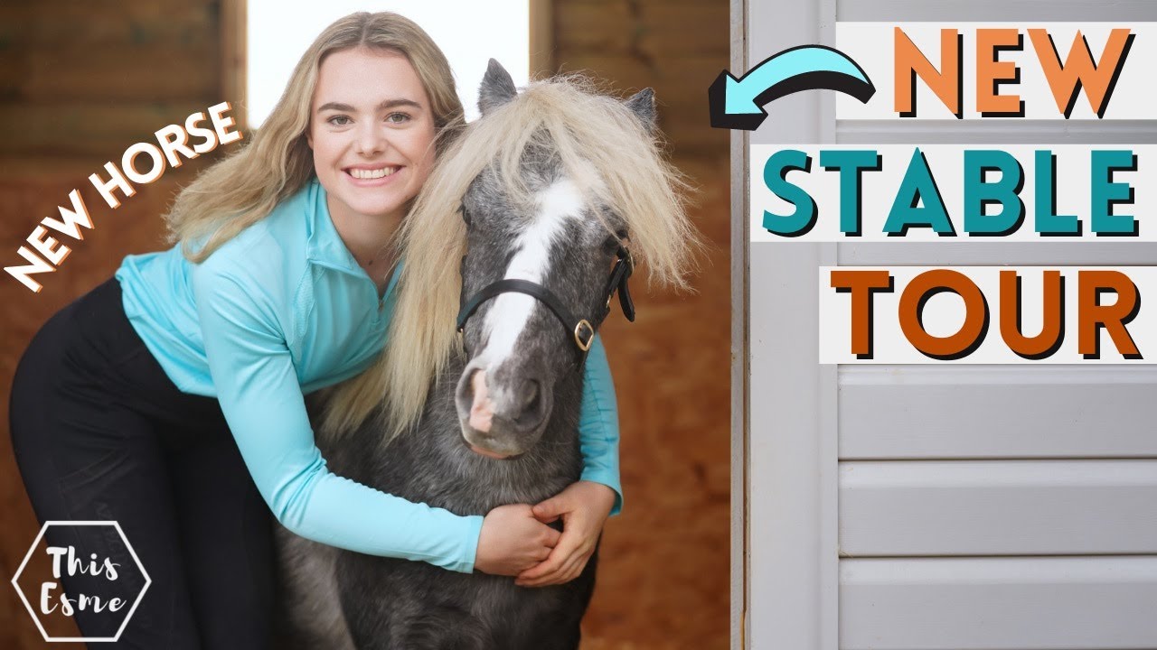 New Stable Tour! Stable Renovation Series! | This Esme AD - YouTube