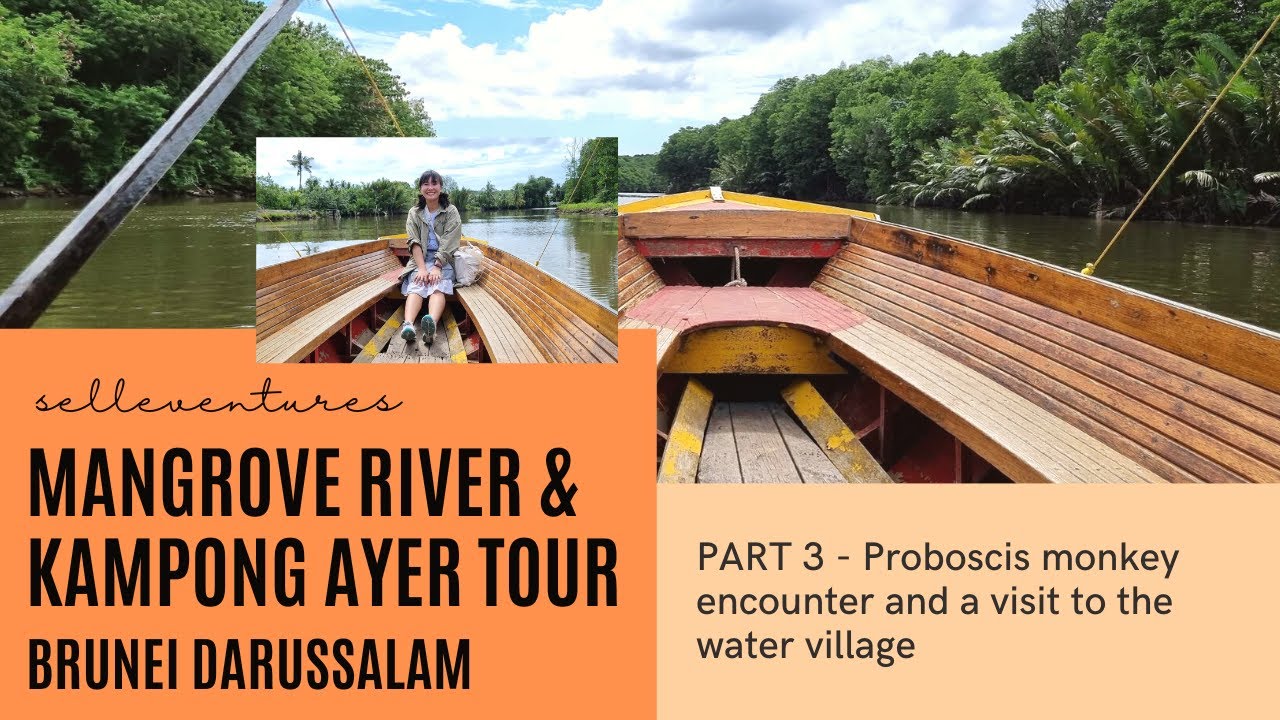 🇧🇳 PART 3 - MANGROVE RIVER TOUR | Brunei Darussalam : Proboscis monkey ...