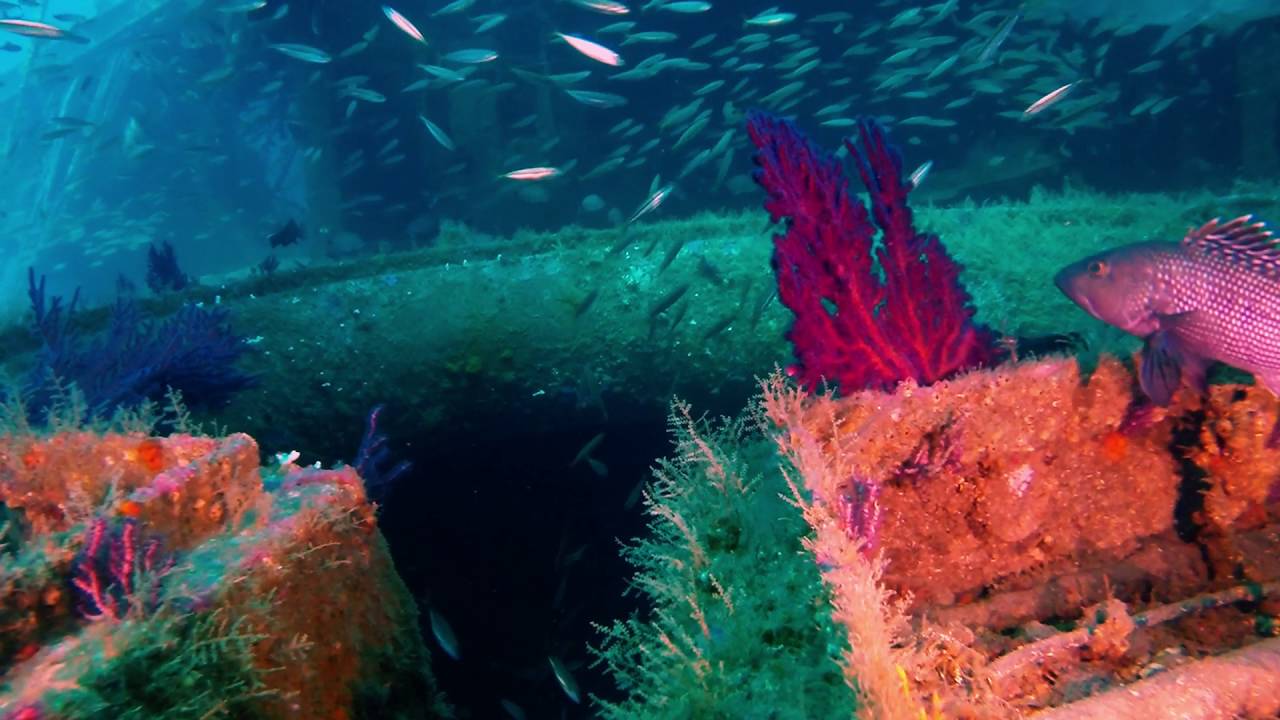 Aeolus Wreck with Tortuga Charters (May 27th 2016) - YouTube