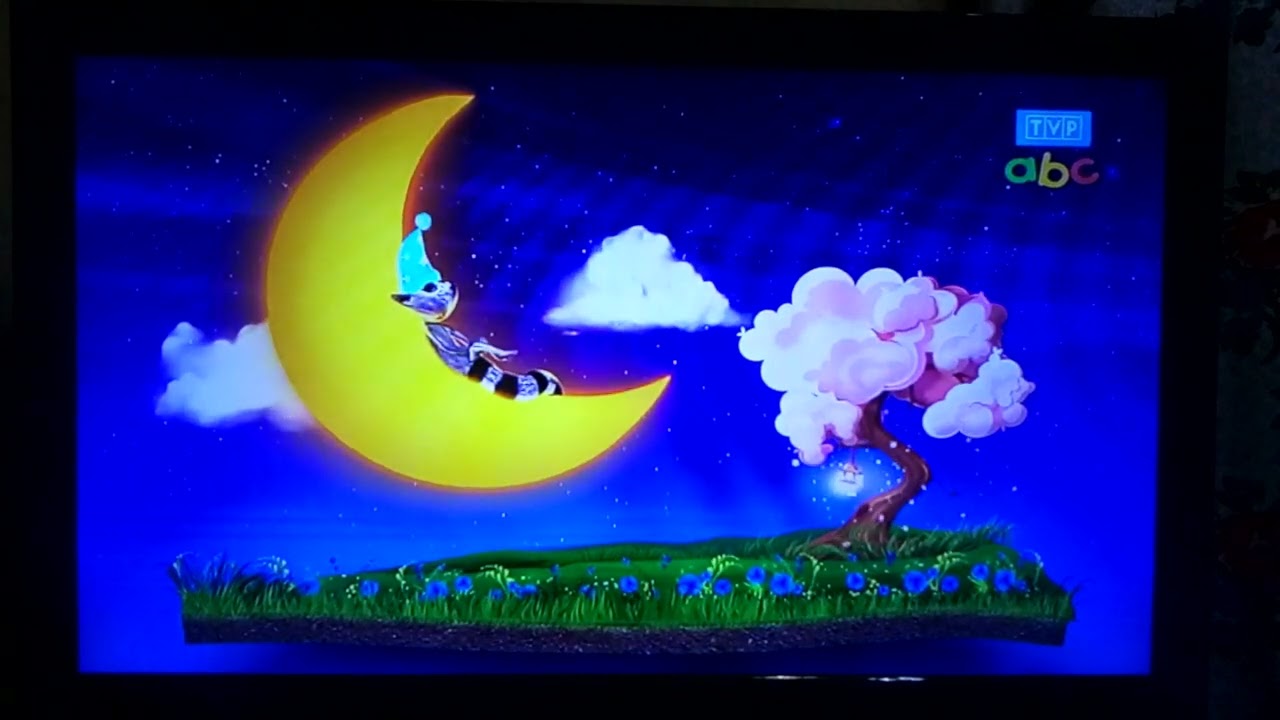TVP ABC - Zakończenie programu. Lemur śpi noc. Pauza s Lemur. (29/30.04 ...