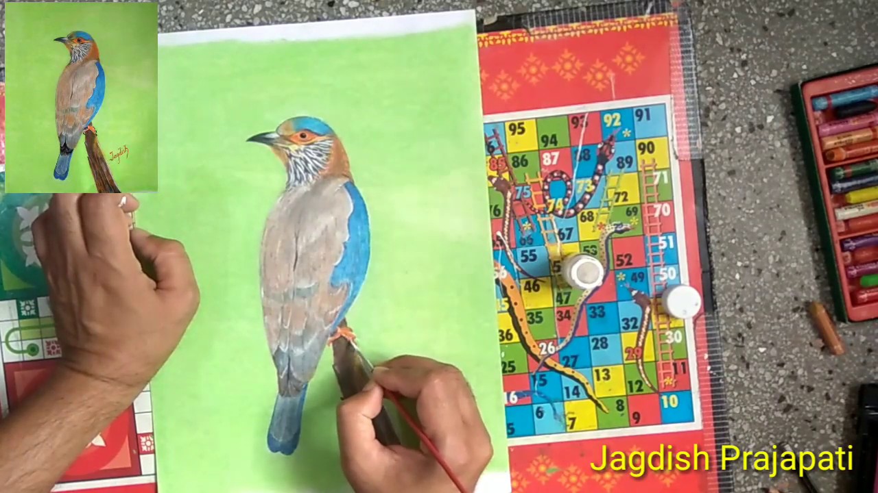 How to draw Indian roller bird (Neelkanth) | Easy oil pastel Drawing ...