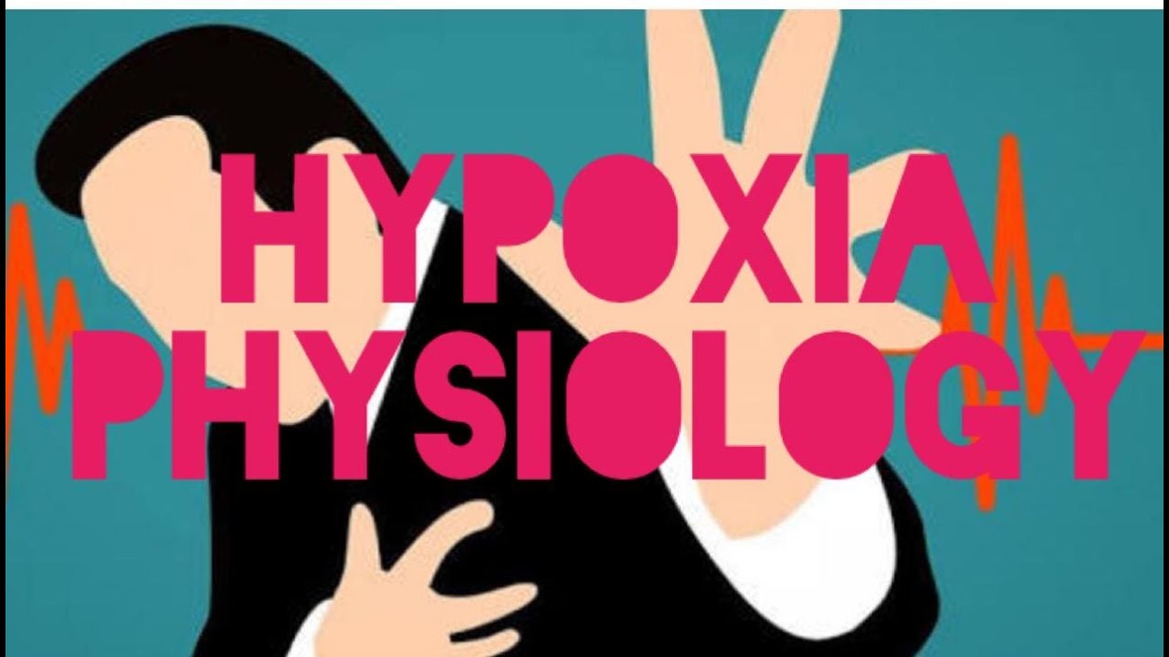Hypoxia|physiology|simple|detailed|easy learning|low oxygen - YouTube