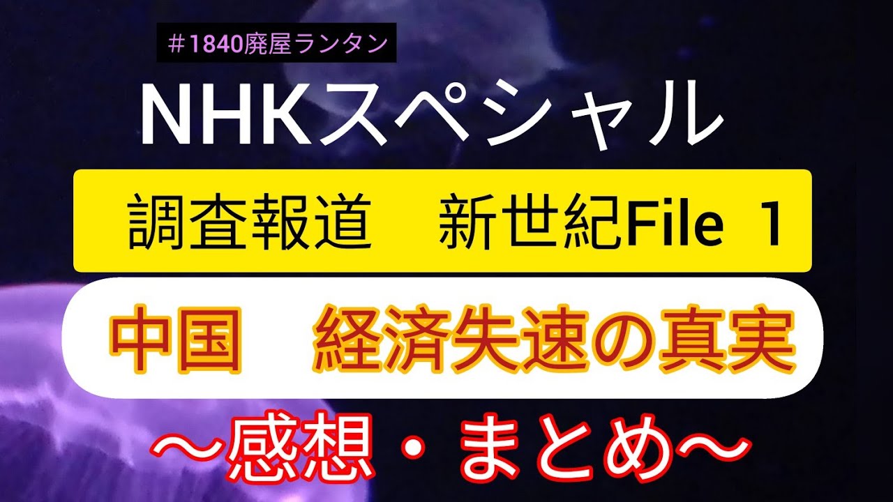 ＃1840 NHKスペシャル 調査報道 新世紀File 1. 中国 経済失速の真実 〜感想・まとめ〜 2023.11.9. - YouTube
