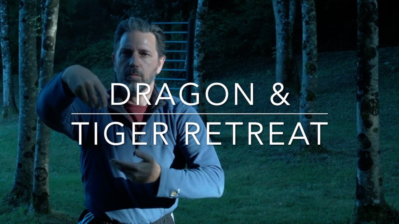 Dragon & Tiger Medical Qi Gong Retreat - YouTube