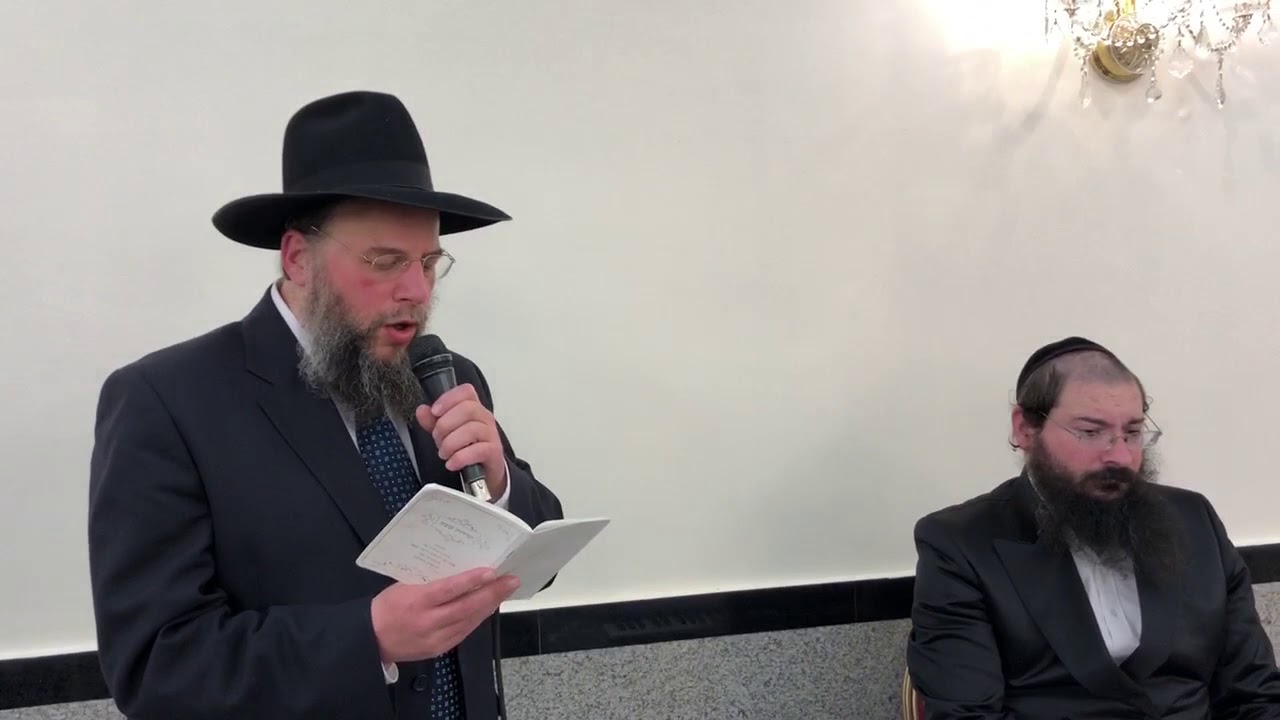 Nigun Eliyohu Hanovi for Melava Demalka by David Werdyger - YouTube