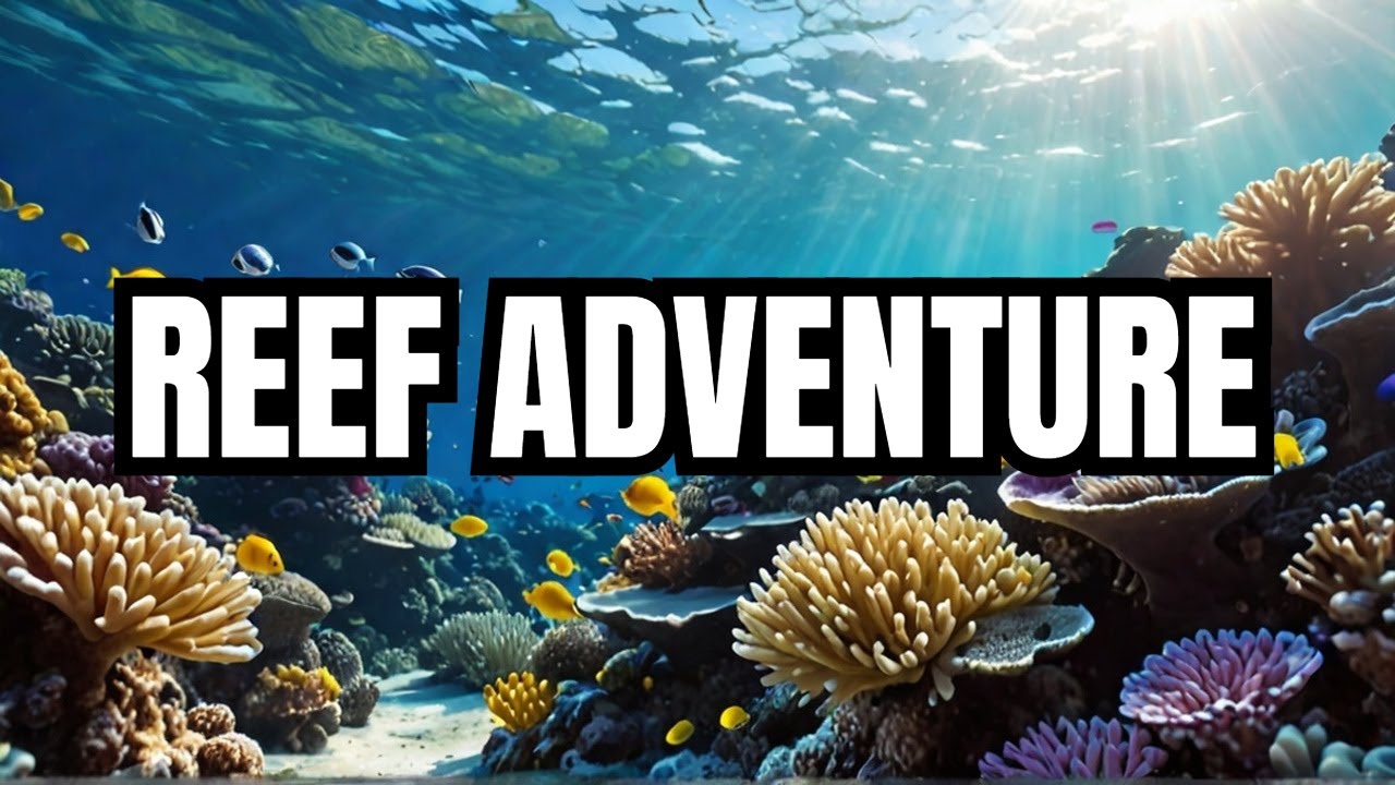 Exploring the Wonders of the Great Barrier Reef | The Great Barrier ...