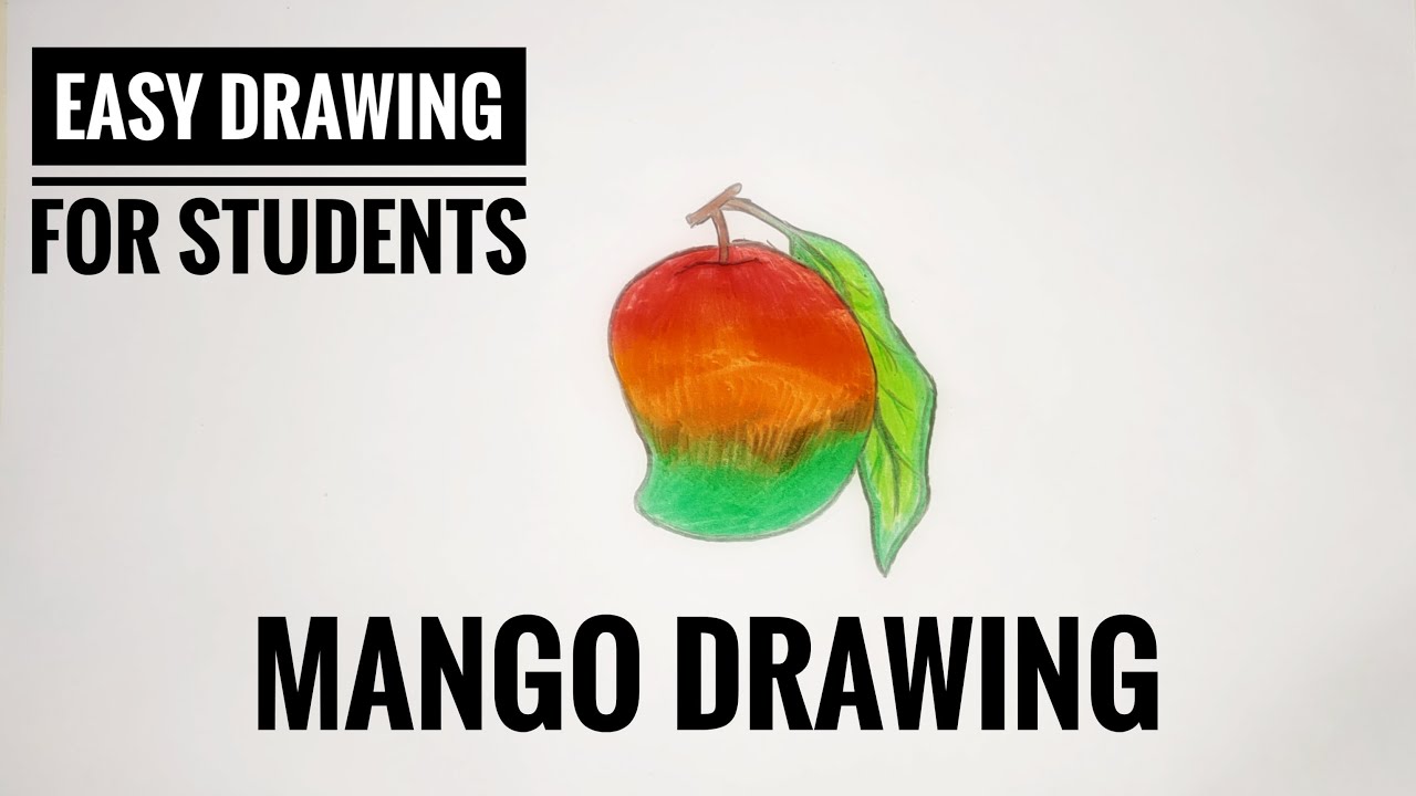 How to Draw Mango for Students (Very Easy) | Mango Drawing for Beginner ...