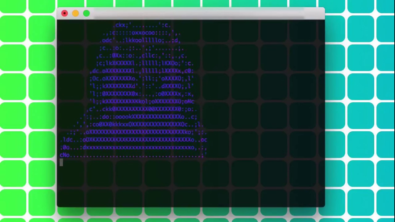 Dancing Parrot In Terminal YouTube dancing-parrot-in-terminal-youtube