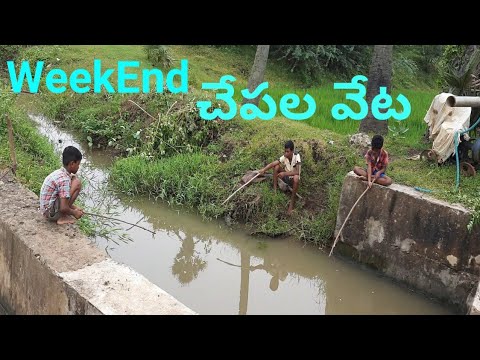 వీకెండ్ చేపల వేట || WeekEnd Chepala Veta - YouTube