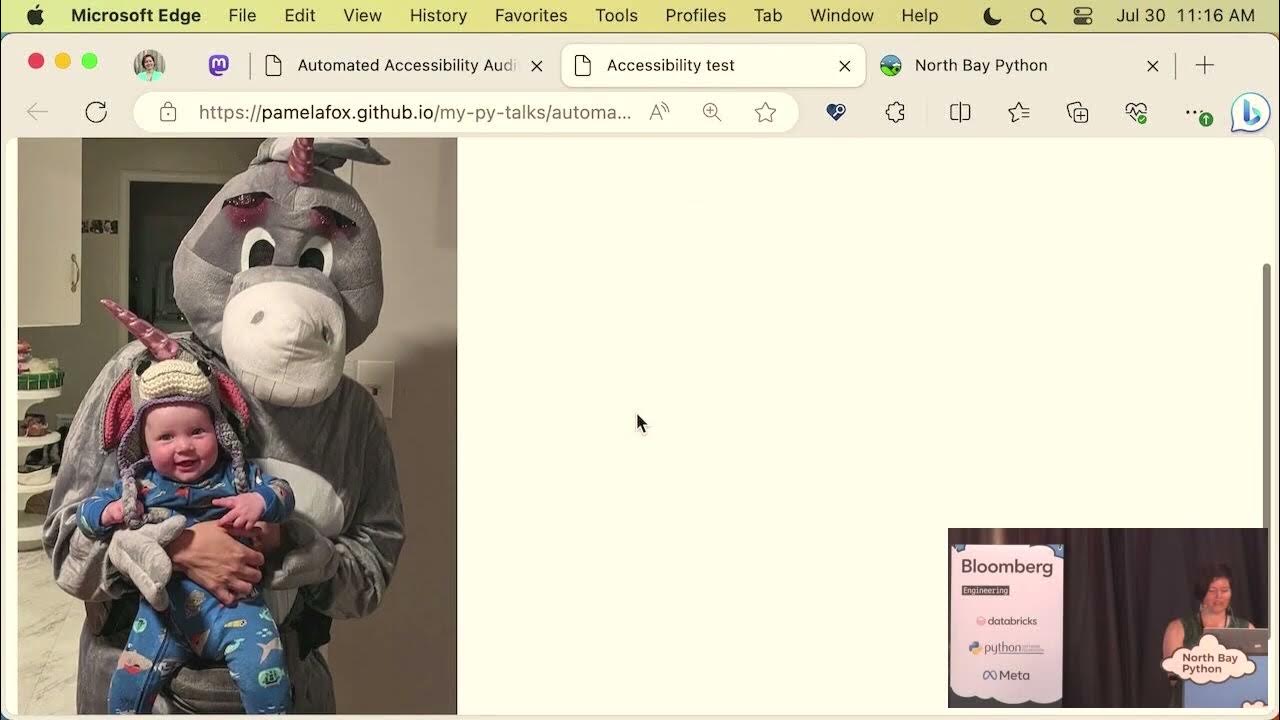 "Automated accessibility audits" - Pamela Fox (North Bay Python 2023 ...