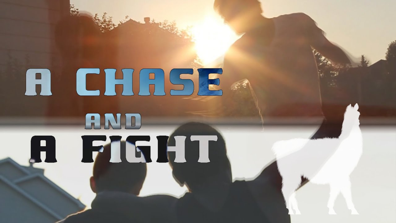 A Chase and a Fight - YouTube