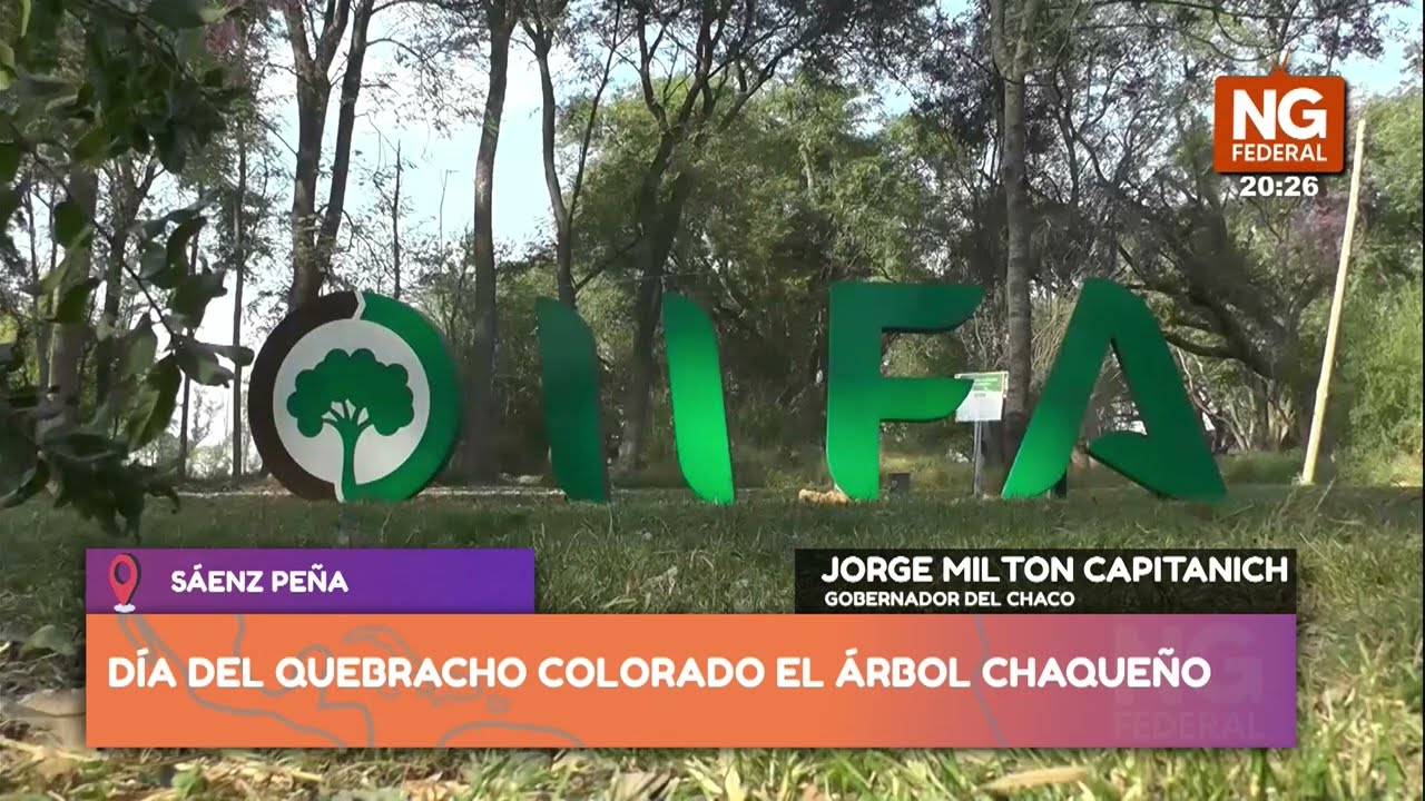 NGFEDERAL - DÍA DEL QUEBRACHO COLORADO EL ÁRBOL CHAQUEÑO - YouTube