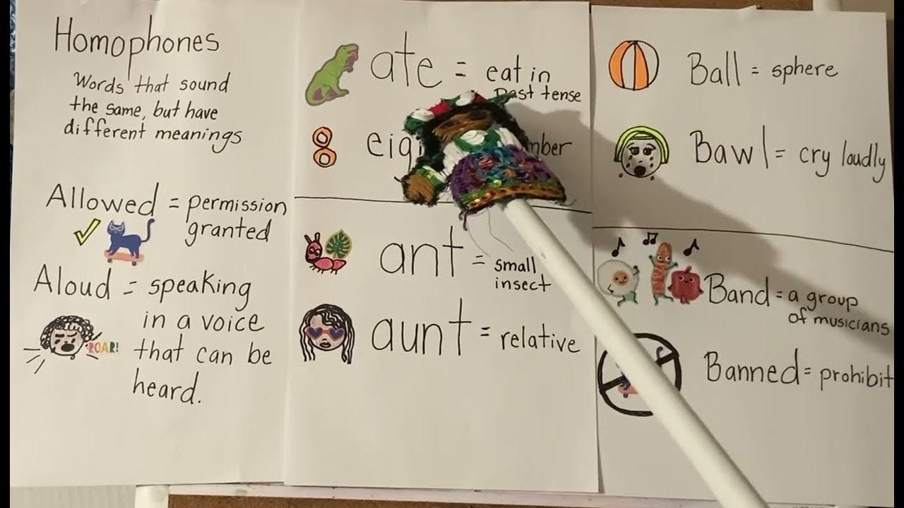Aprendiendo Homophones =ant, aunt, ball, bawl - YouTube