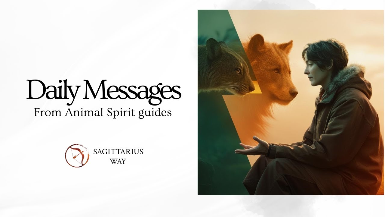 Messages from Animal Spirit Guide Moose - YouTube