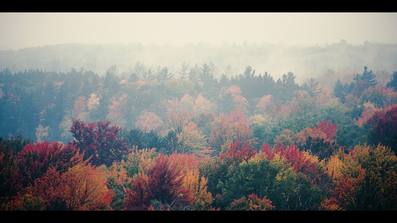 October Fog - YouTube