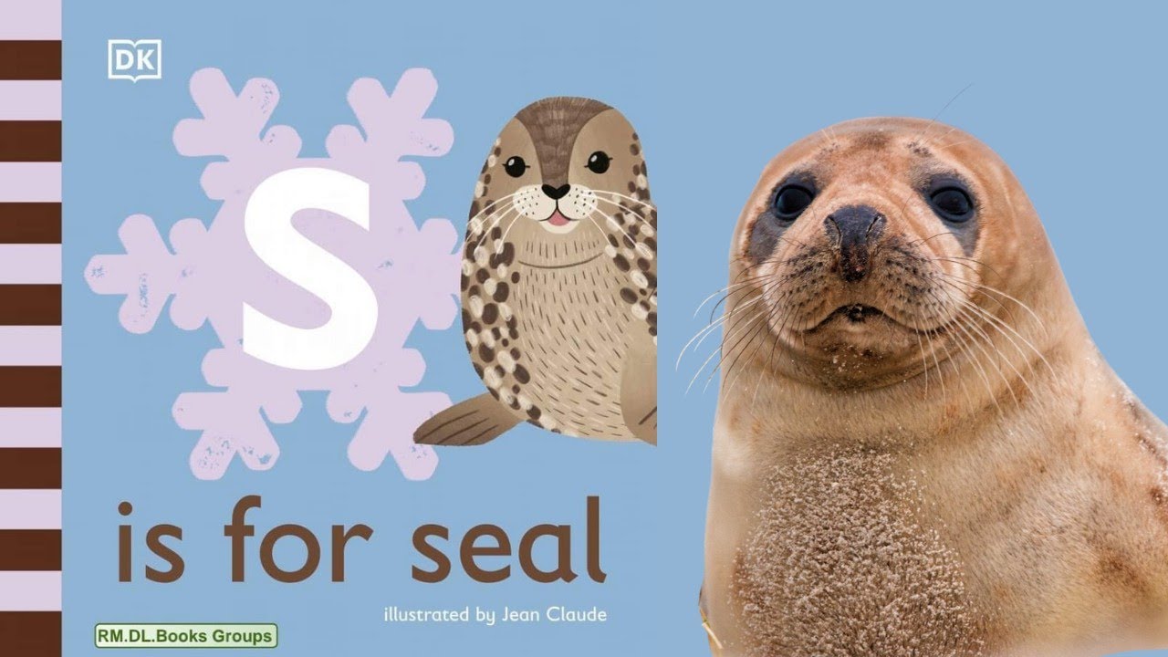S is for Seal I Alphabet Ss I Letter S sound & vocabulary I Little ...