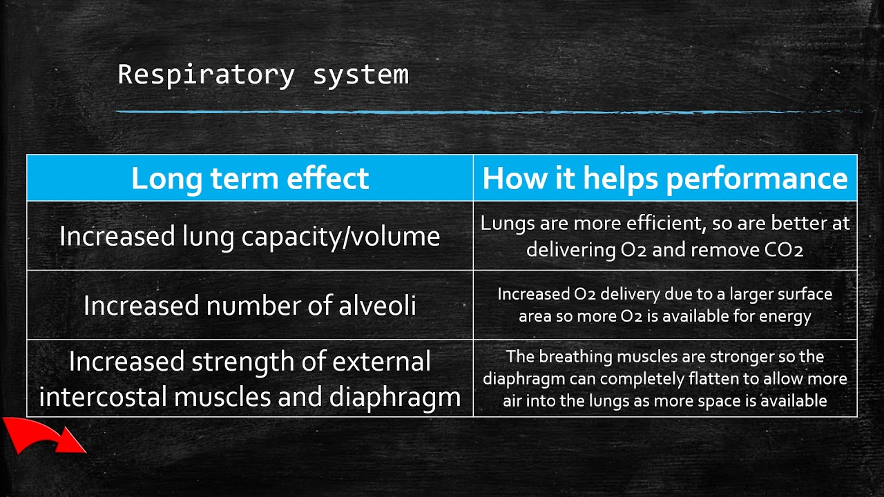Long term effects of exercise on the human body - YouTube