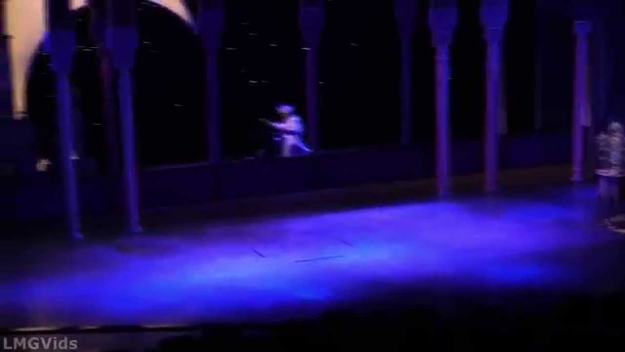 Disneys Aladdin Musical Spectacular 2014 California Adventure Full