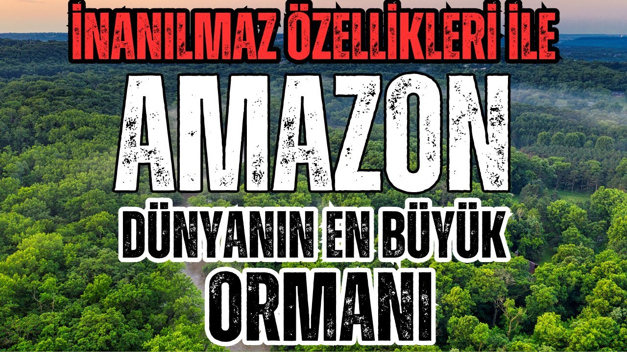 Dünyanın En BÜYÜK ORMANI : Amazon Ormanı | Dünyanın Akciğerleri Amazon ...