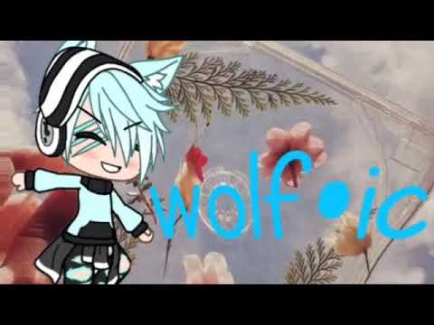gif intro for wolf Ice