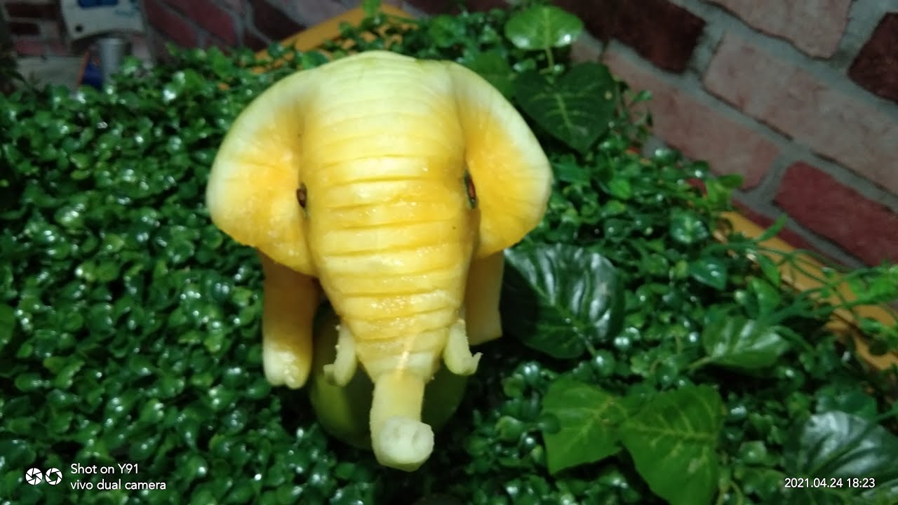 Watermelon Elephant In EASY WAYS TUTURIAL - YouTube