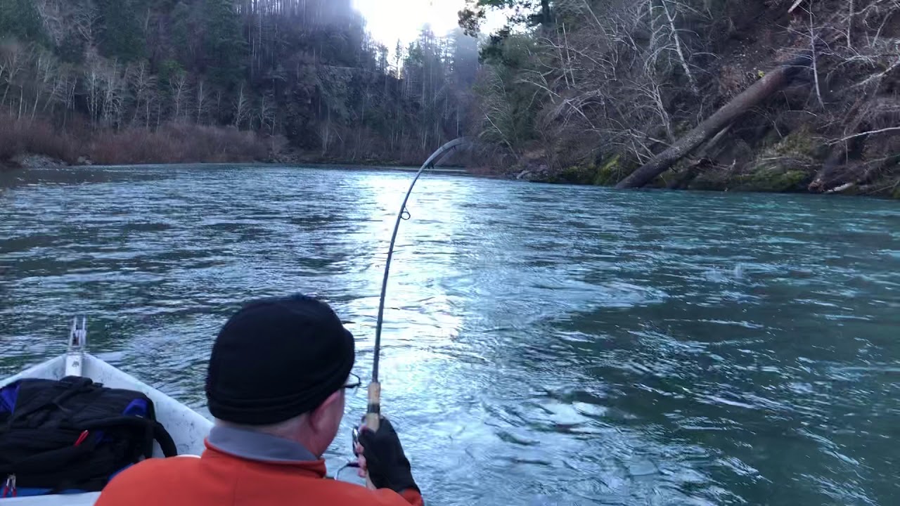 Upper Chetco River winter steelhead. - YouTube