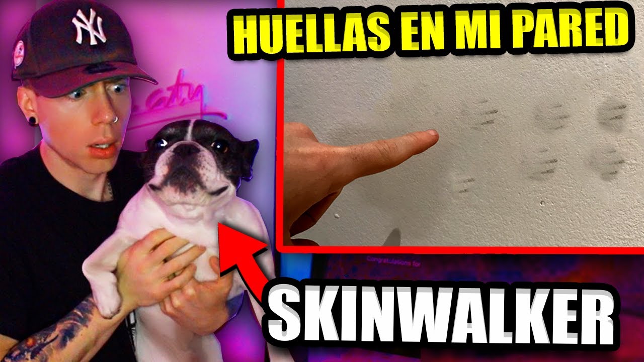 MI PERRO CAMINA POR LAS PAREDES… 😱 🐶 descubro oscuro secreto de ...