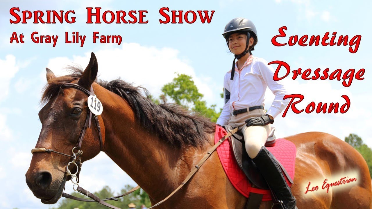 Dressage Round at Spring Horse Show - Leo Equestrian - YouTube