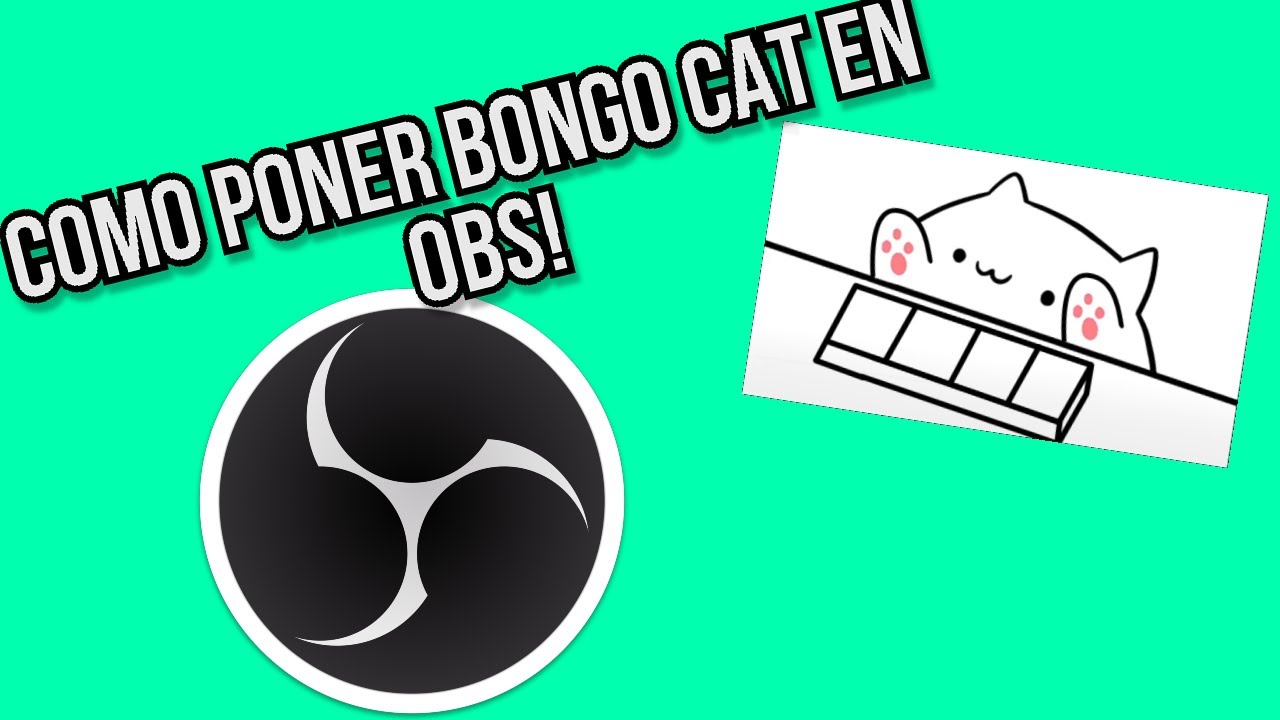 Como Poner a bongo cat en obs! - YouTube