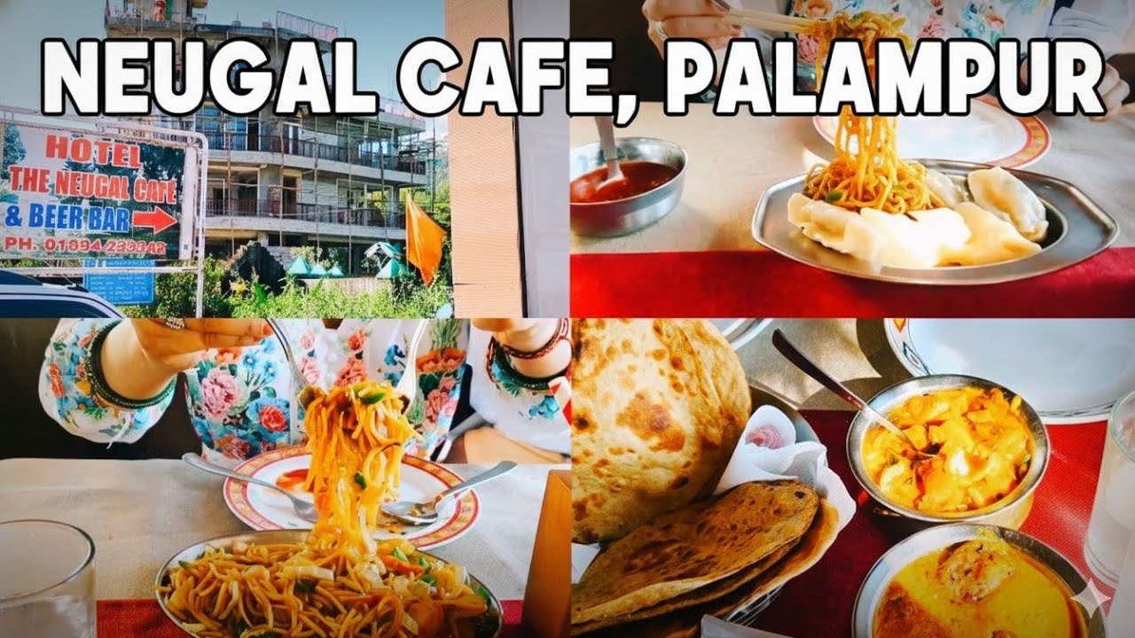 Lunch with a view at Nugal Café, Palampur 🌿 ”#NugalCafe # ...
