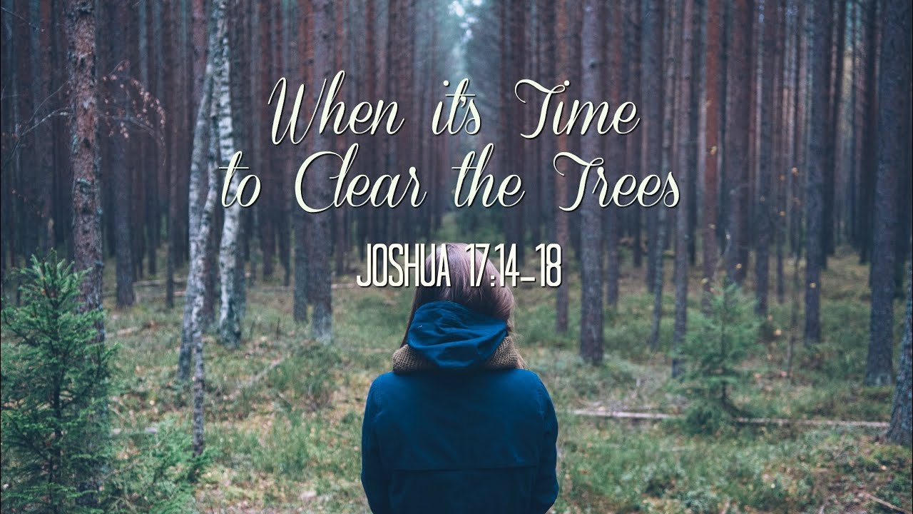 The Book of YAHOSHUA (Joshua) - Chapter 17 - YahScriptures.com - YouTube