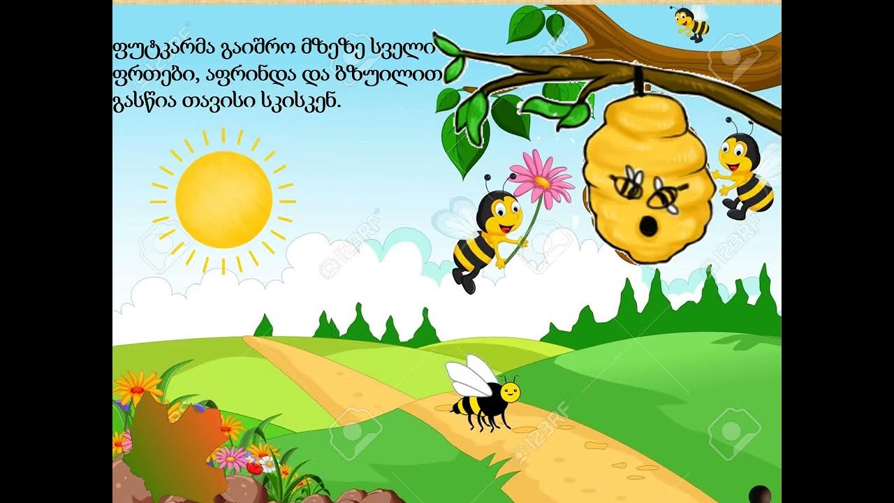 ფუტკარი და მტრედი - YouTube