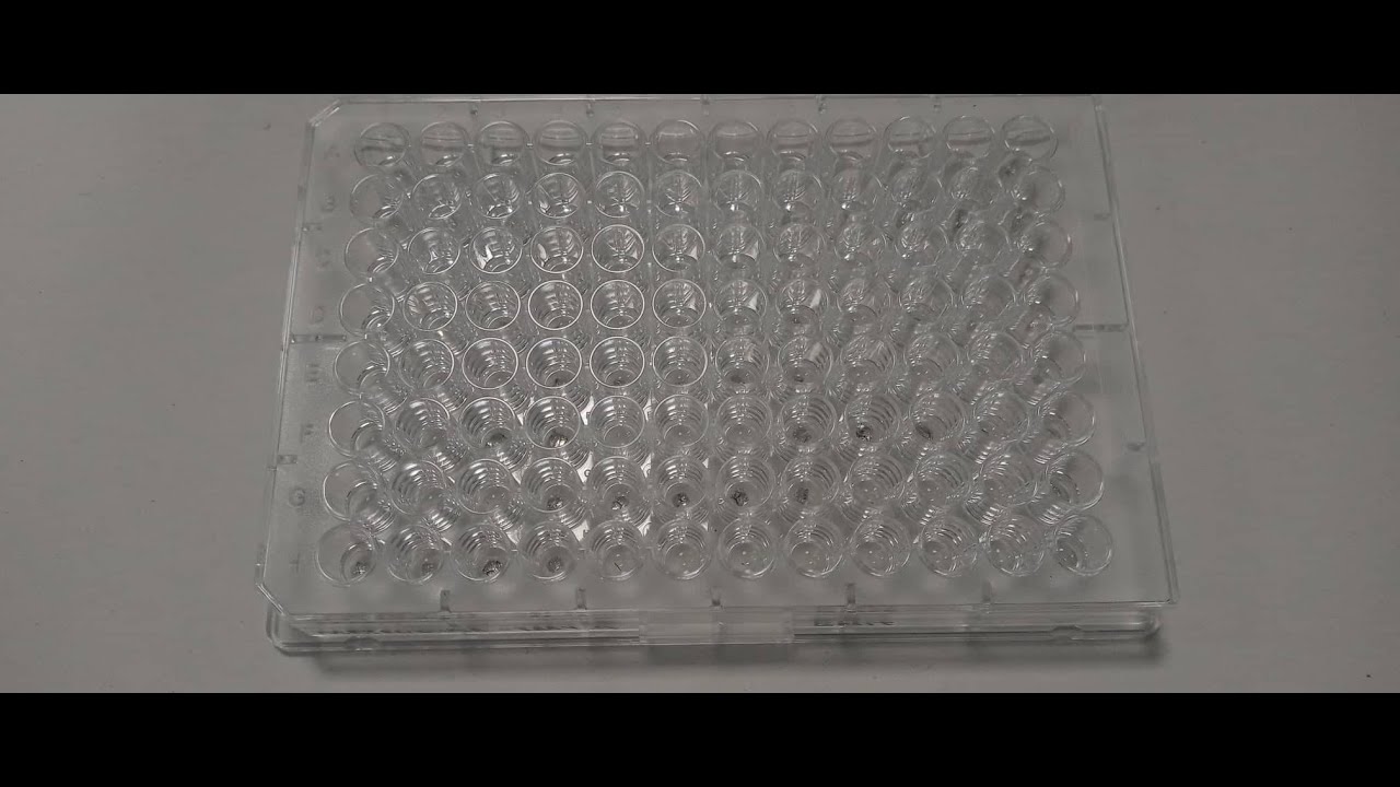 Stable Isotope Sample Preparation - YouTube