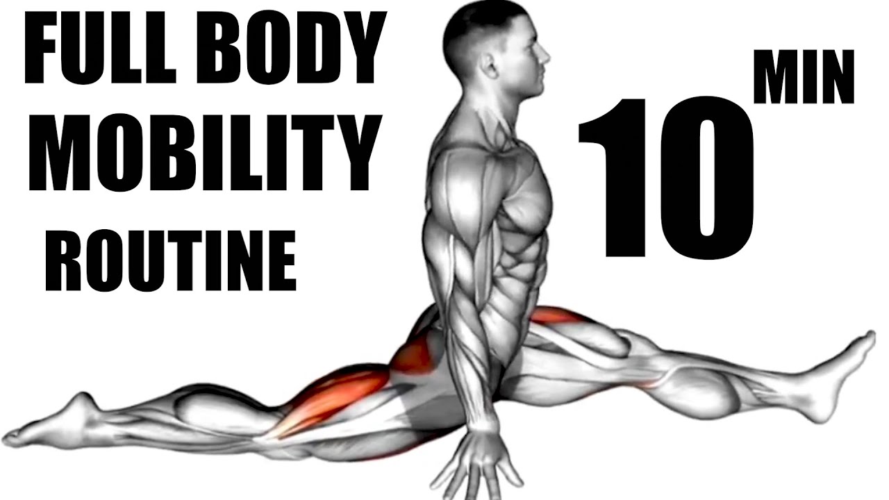 10-Minute Full Body Mobility Routine for Beginners 💪 Stretch & Strength ...