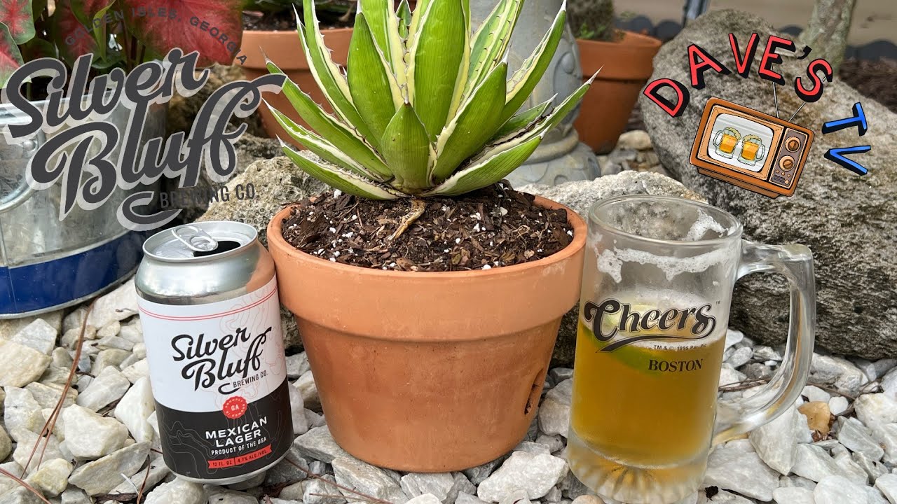 Silver Bluff Brewing Company's Mexican Lager #mexican #lager - YouTube