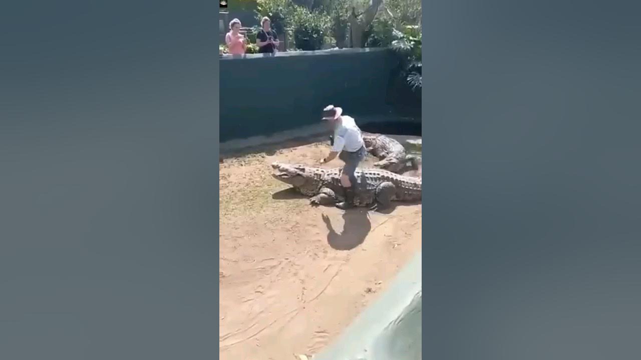 Crocodile Attack? - YouTube