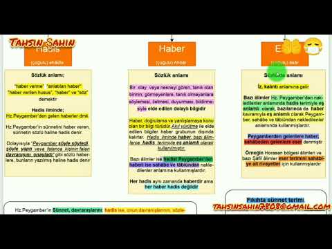 (Yeni çekim) Hadis Tarihi ve Usulü - Hadis İlmi: Temel Kavramları ve Alt Dalları - 1