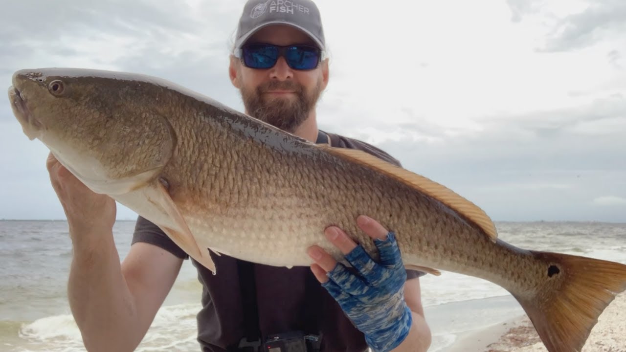 How to catch BULL REDS in SANIBEL Florida pier fishing! (giant fish ...
